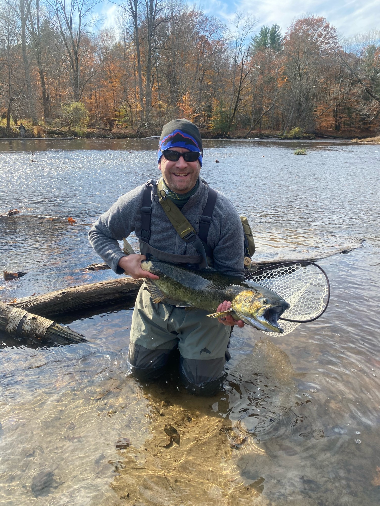 OWNER AND GUIDE – MEANDERING MARTINS llc